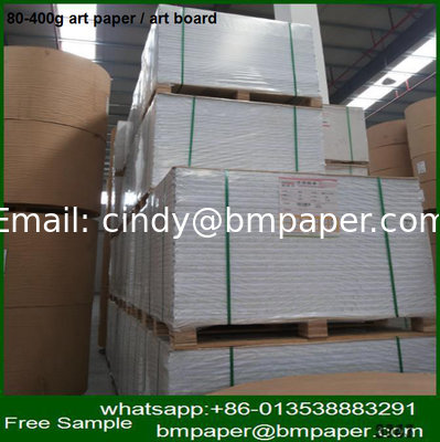 Excellent Printability C2S matt/ gloss art paper/ couche matt paper
