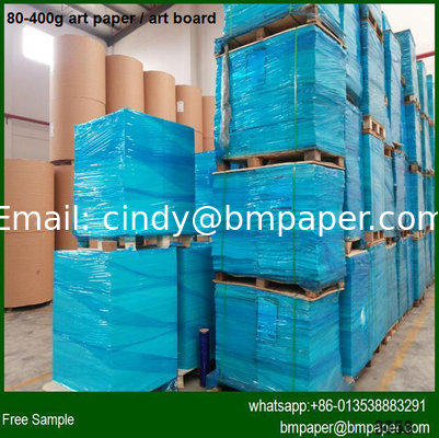 Premium Quality Of C2S Art Paper Gloss or Matt