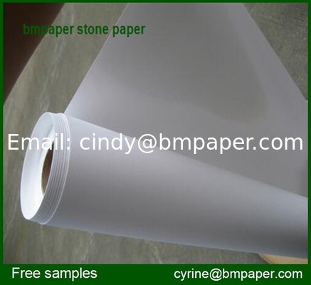 Environment-friendly stone paper