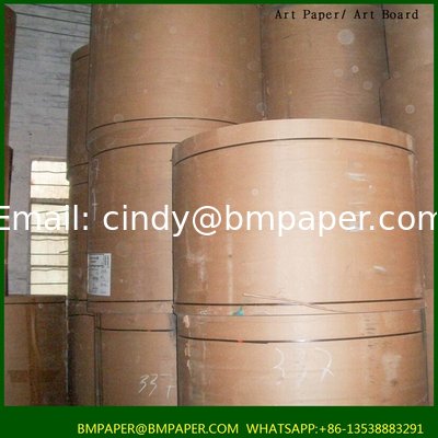 C1S Coated Art Paper