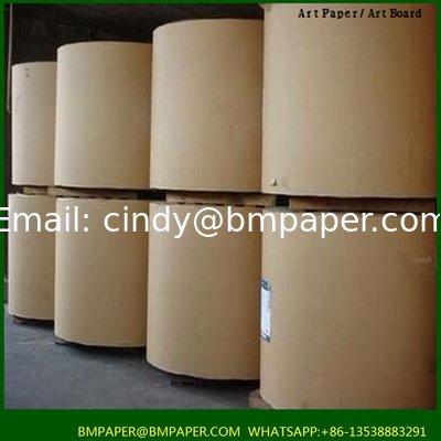 C1S Coated Art Paper