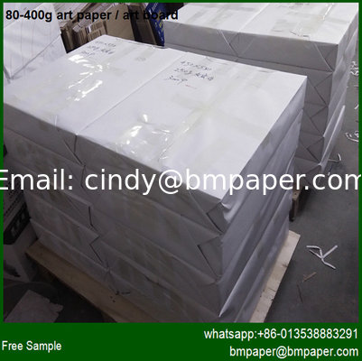 Premium Quality Of C2S Art Paper Gloss or Matt