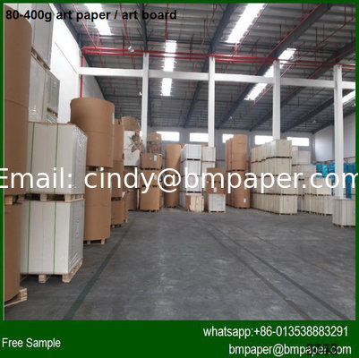 c1s ivory board paper c1s ivory board c1s board