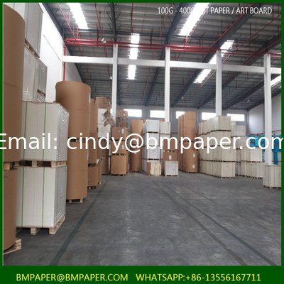 For High Quality Printing  Art Board 300gsm