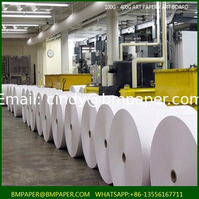 For High Quality Printing  Art Board 300gsm