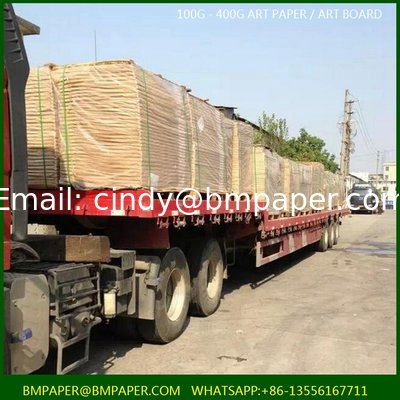 For High Quality Printing  Art Board 300gsm