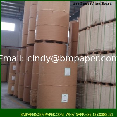 Couche Paper / Art Paper / Gloss or Matt Couche Paper - - in ROLLS