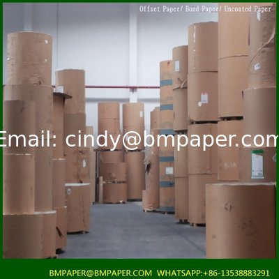 Offset Paper 120gsm Super White Color Uncoated Printing Paper