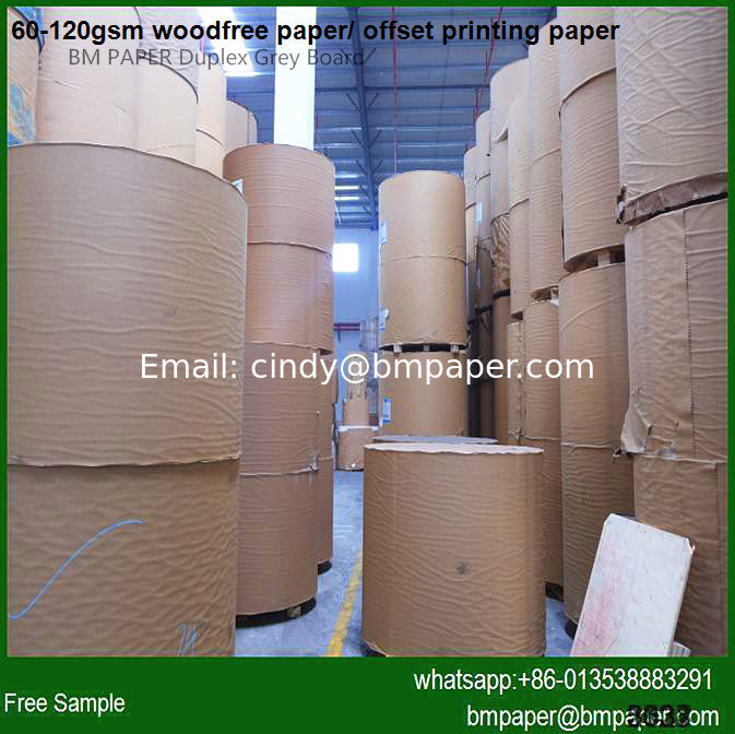 A4 Size White Color Woodfree Offset Paper for Office Notes