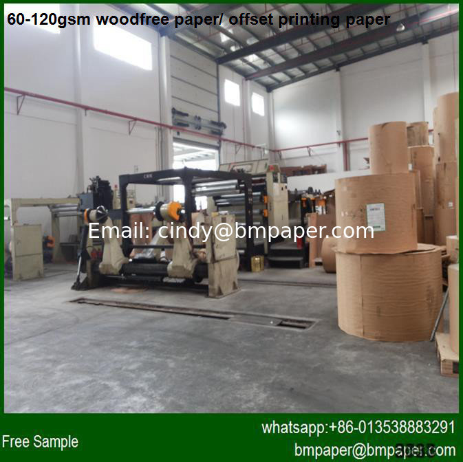Color Offset Printing Paper Scroll with Virgin Pulp