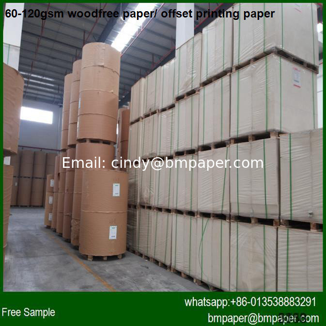 Color Offset Paper with 100% Virgin Wood Plup