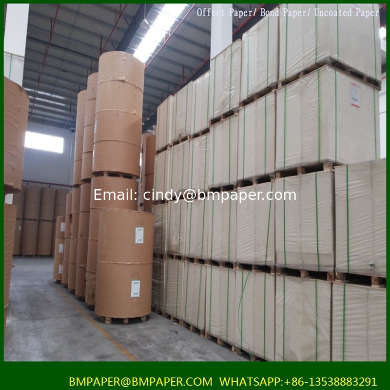 High Quality Coated 2 side or Coated 1 side Art Paper / Art Board / Couche Paper for print