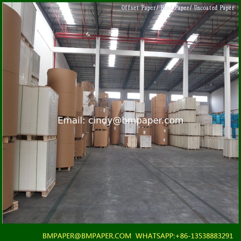 High printing gloss Coated 80gsm~350gsm Art Board -- Gloss Coated Paper -- Art Paper