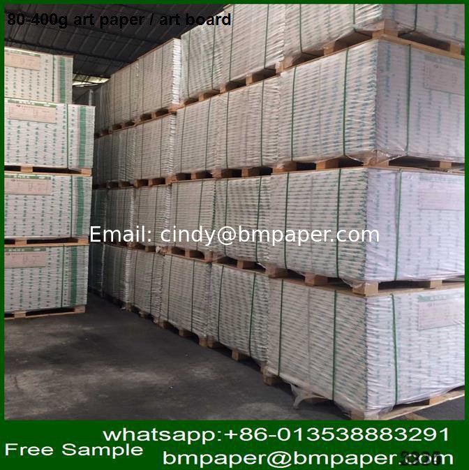 80gsm 650*914mm Art Board/ C1S / C2S coated art paper product