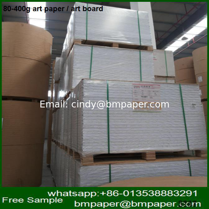 Customized size C2S gloss/ matt art paper/ couche matt paper papel couche