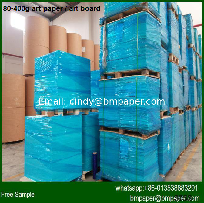 white color 70-400gsm glossy and matte art paper