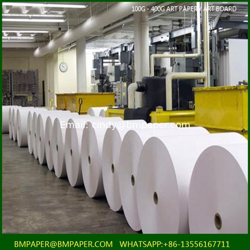 C2s coated White Bond Paper Roll in 75mm Width For Cash Register