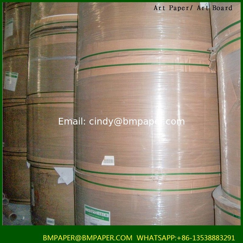Wood Pulp Pulp Material and Chemical Pulp Pulping Type Couche Paper for Printing