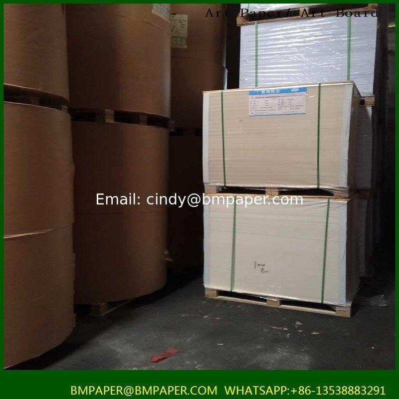 Color Bond Printing Paper with Low Price in Sheet