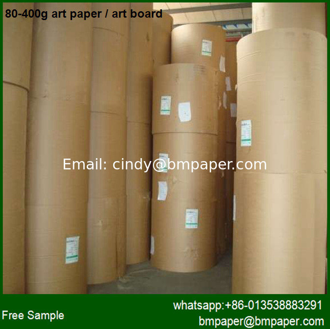C2s coated White Bond Paper Roll in 75mm Width For Cash Register