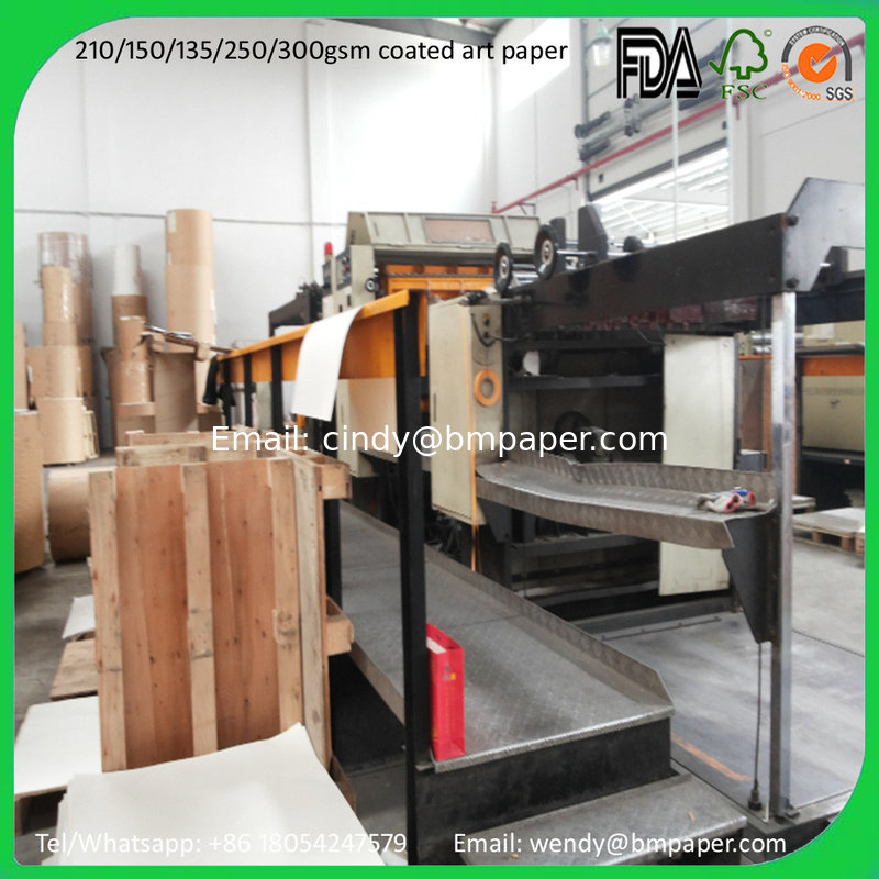 C2s coated White Bond Paper Roll in 75mm Width For Cash Register