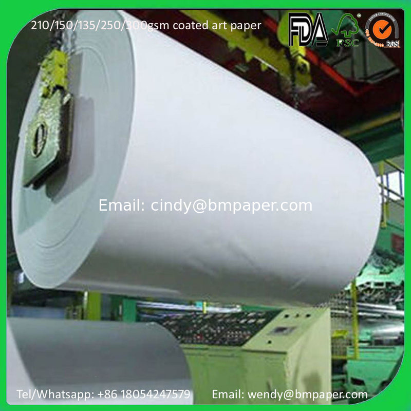 Roll for Typek 80gsm A4 Bond Paper