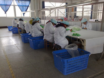 Bobo's Toy&Gift Co.,Ltd.Yangzhou