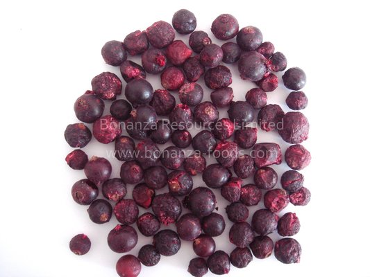 Freeze Dried Blackcurrants