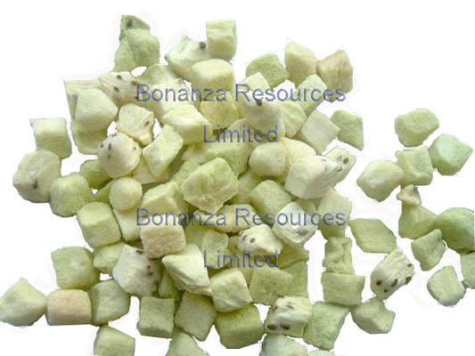 Freeze Dried Kiwi