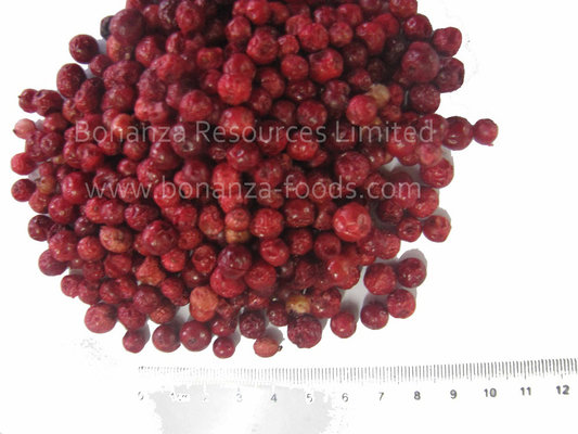 Golden Supplier of Freeze Dried Lingonberries Heathy Berries BRC certified factory supply