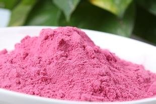 Freeze Dried Lingonberries Heathy Berries