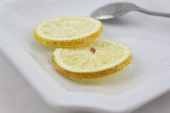 Freeze Dried Lemon Slice