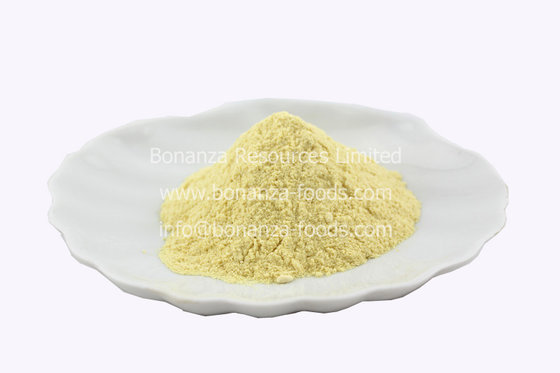 Freeze Dried Mango Powder