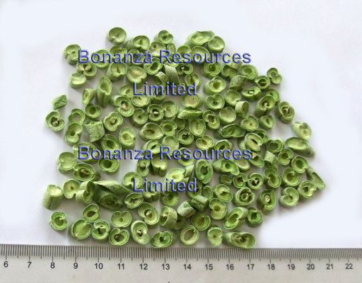 Freeze Dried Green Bean 5-6mm cross cut