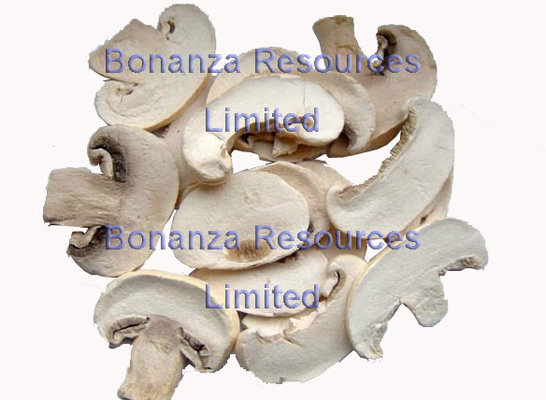 Freeze Dried Button Mushroom Chips