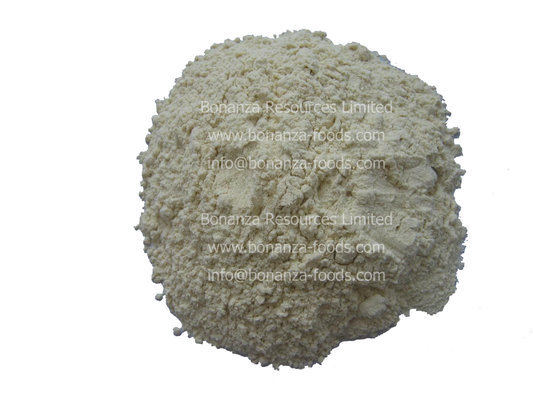Dehydrated White Onion Powder
