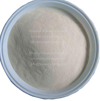 Instant Mashed potatoes Freeze Dried Potato Powder Instant Dried Vegetables