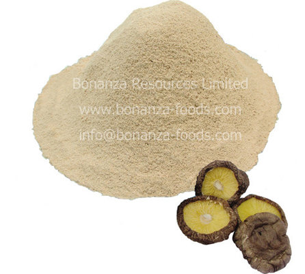 Dehydrated Shitakii Mushroom Powder