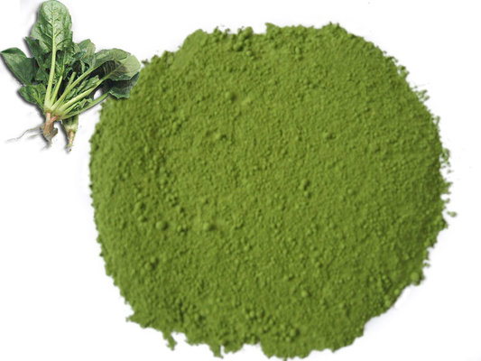 Sell Freeze Dried Spinach Powder Natural Additives