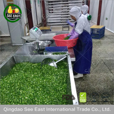 100% Natural FD vegetable freeze dried leeks for fast food