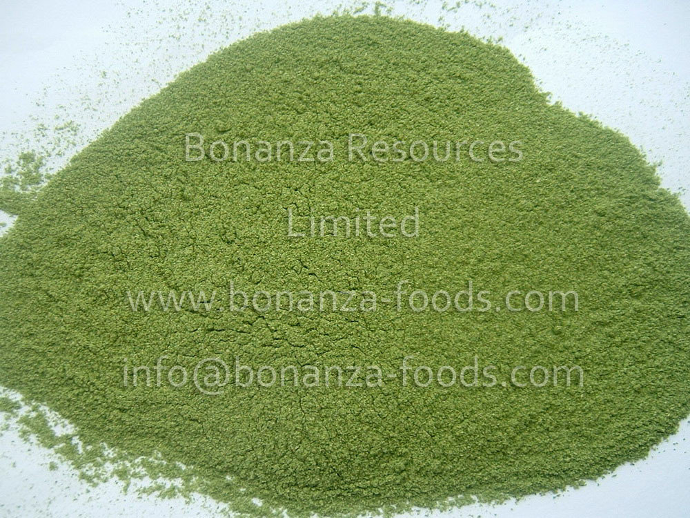 Freeze Dried Leek Powder/Bulk Packaging dried leek/HACCP certified/Kosher/free sample