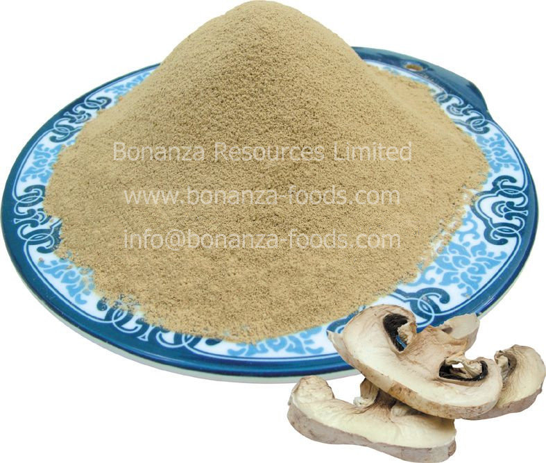 Freeze Dried Button Mushroom Powder 2018 NEW NATURAL FOOD survival food camping food