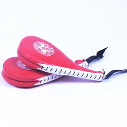 Tekwondo target