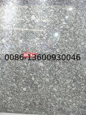 China cheap Spray White Gray Granite