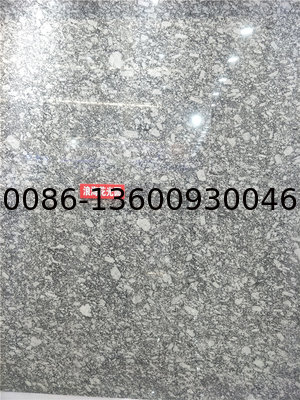 China cheap Spray White Gray Granite
