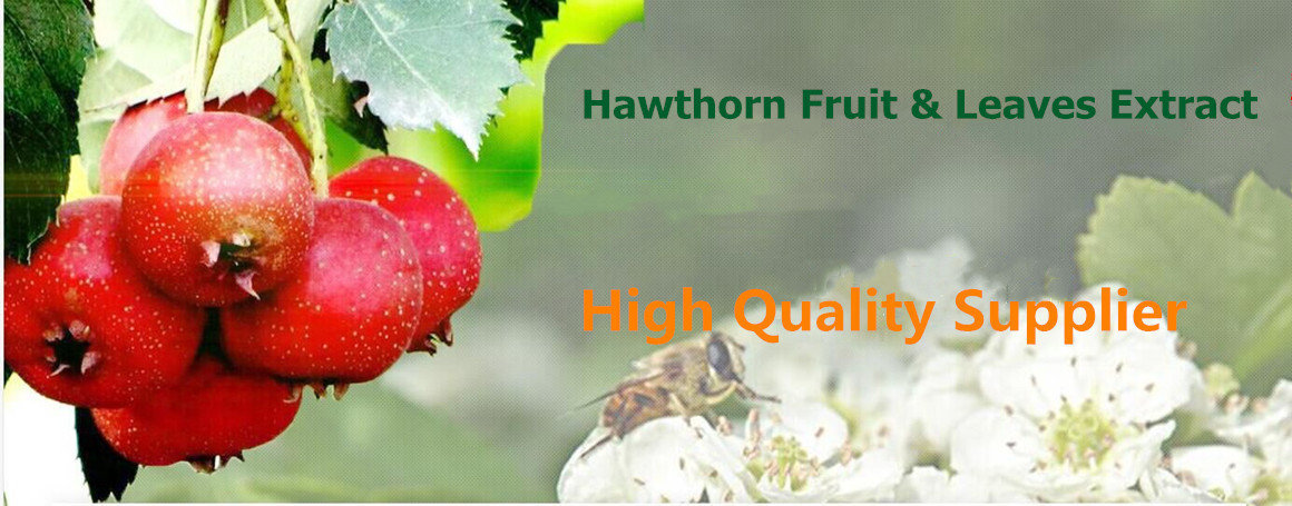 Powdered Herbal Extracts