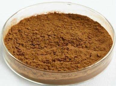 Organic Herb Powder Artichoke P.E. Artichoke Extract 100% Nature Herbal Powder