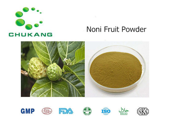 Natural Plant Powder Noni Fruit Powder Morinda Citrifolia Enhance Cellular Health