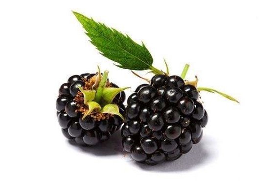 Organic Herb Powder Blackberry Fruit Powder Rubus suavissimus S.Lee Food ingredients