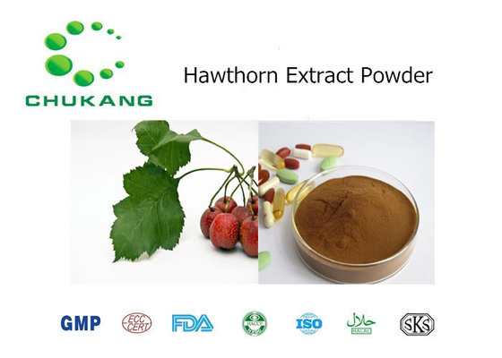 Herbal Ingredients Hawthorn Extract Pure Nature Herbal Powder Hawthorn Extract
